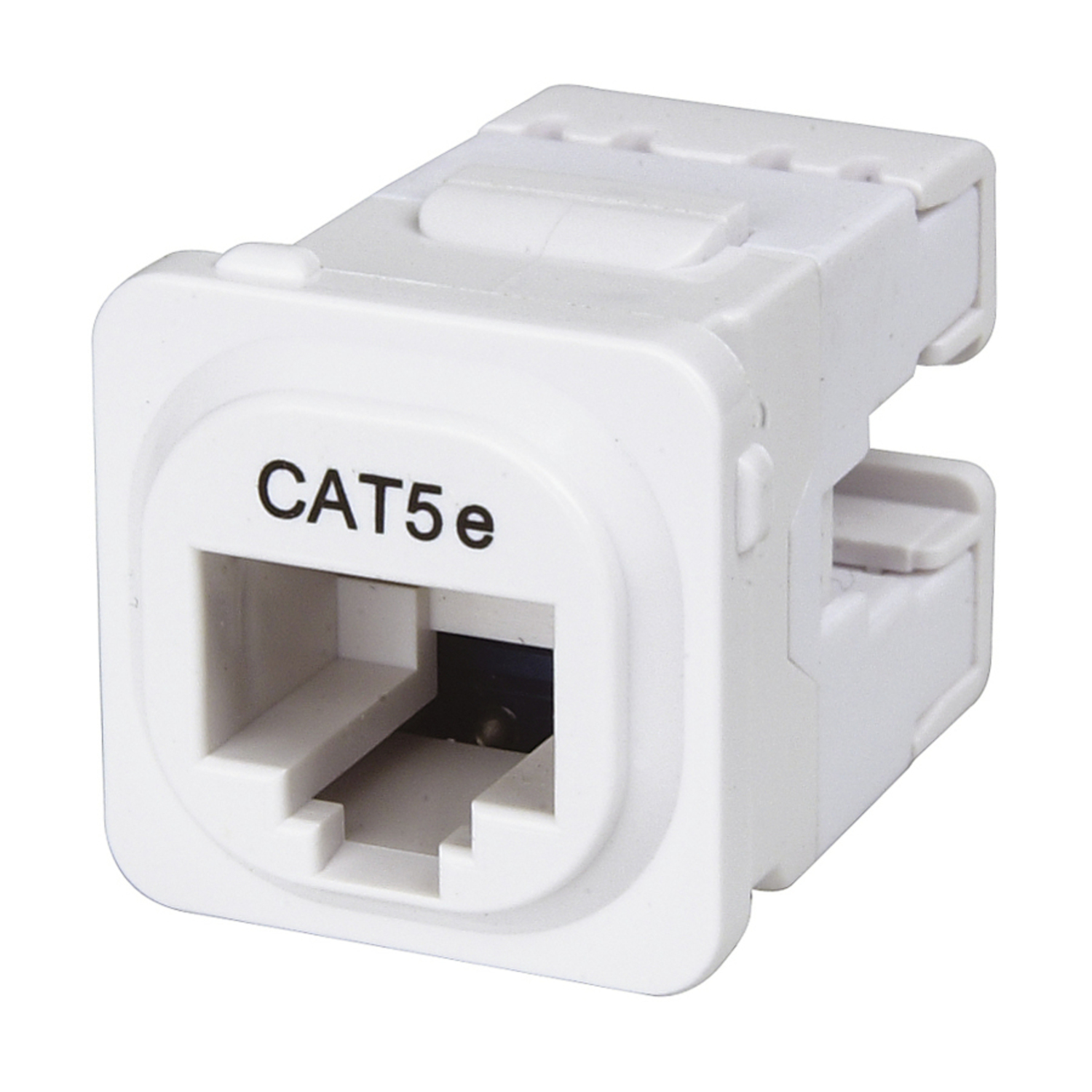 IDC RJ45 Cat5e Wall Plate Socket Australia - Little Bird